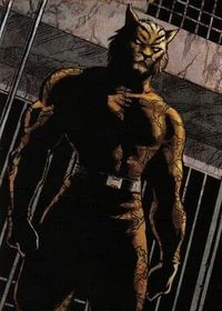 Bronze Tiger | The New 52 Batman Wiki | Fandom