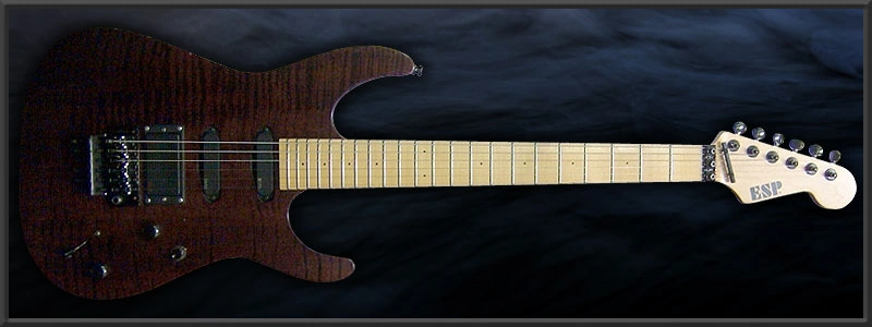 ESP SEC "Koa Maple" | Crush 40 Wiki | Fandom