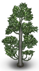 Poplar Tree - Official CryoFall Wiki