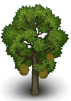 Durian Tree Cartoon