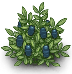 Oilpod Bush - Official CryoFall Wiki