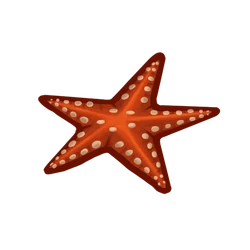 Starfish - Official CryoFall Wiki