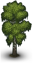 Birch Tree - Official CryoFall Wiki