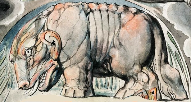 Behemoth | Cryptid Crew Wiki | Fandom