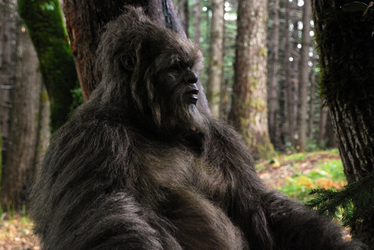 Sasquatch | Cryptid Crew Wiki | Fandom
