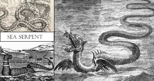 Angont | Cryptid that you saw Wiki | Fandom