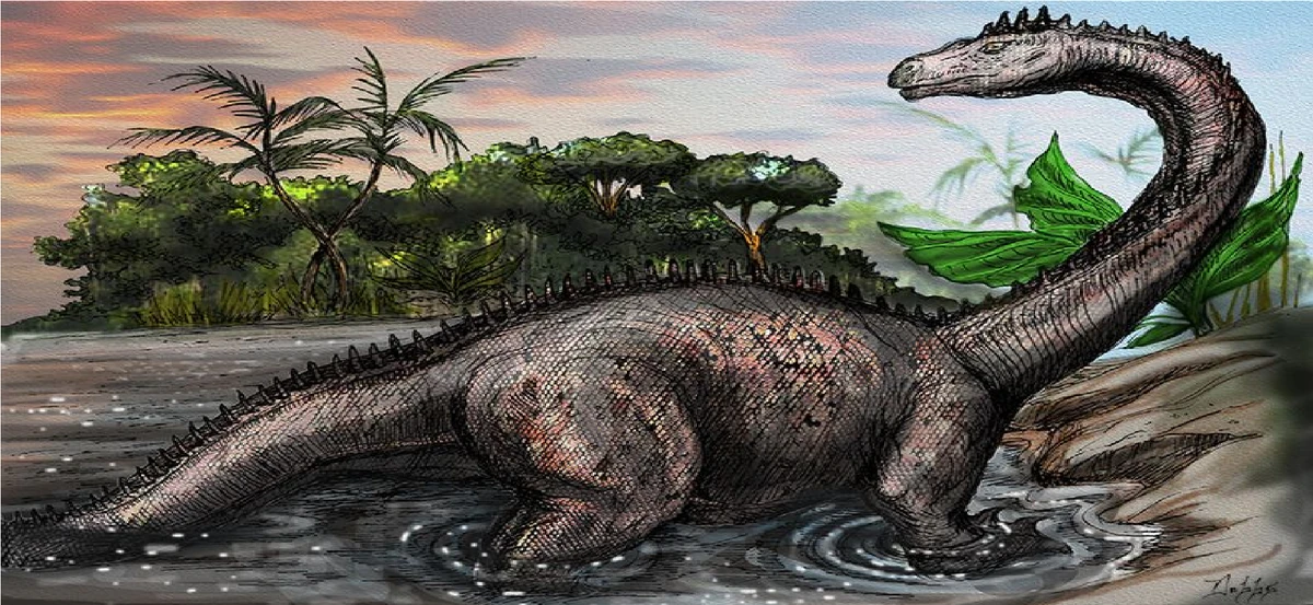 Amali | Cryptid that you saw Wiki | Fandom