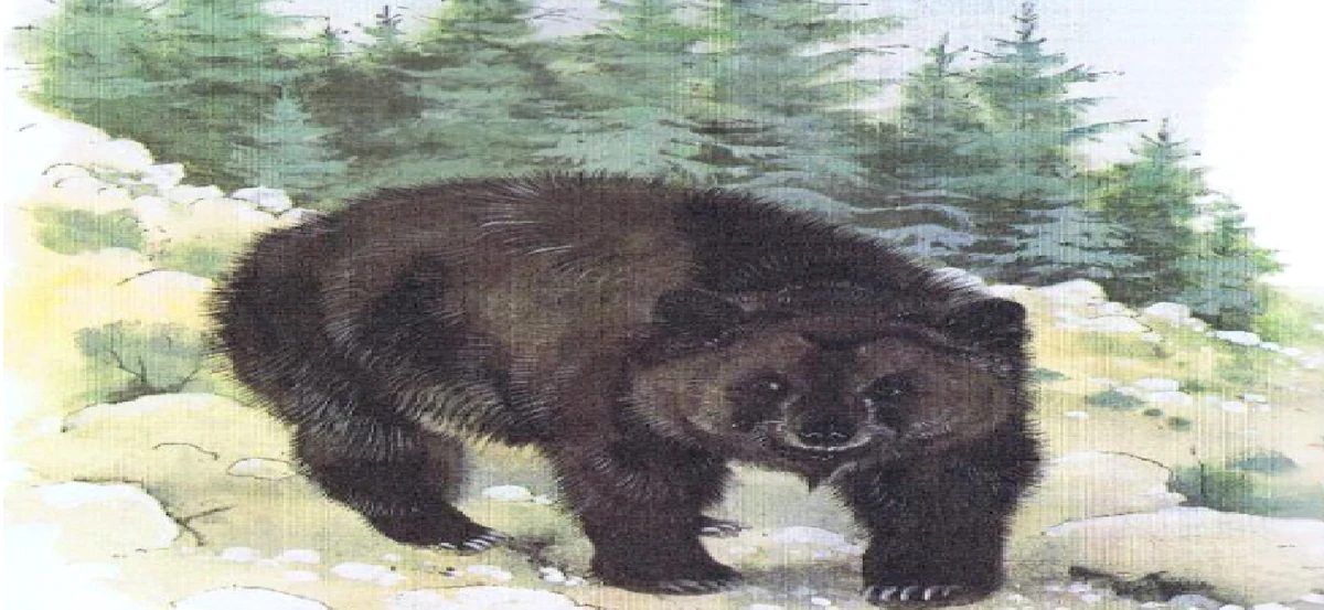 Atlas Bear | Cryptid that you saw Wiki | Fandom