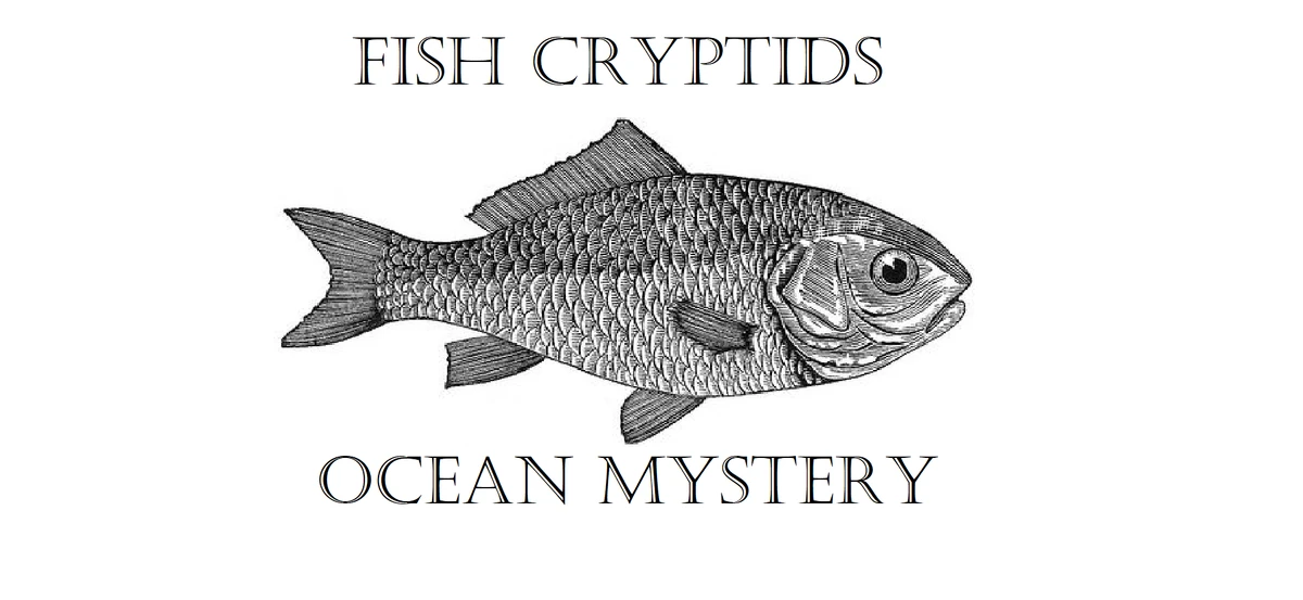 Anfish | Cryptid that you saw Wiki | Fandom
