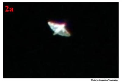 Category:Insect | Cryptid Tidbits Wiki | Fandom