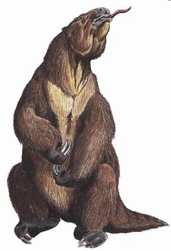 Mapinguari | Cryptid Tidbits Wiki | Fandom