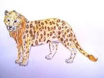 Marozi | Cryptid Tidbits Wiki | Fandom