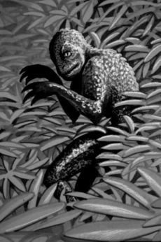 Category:Humanoid Cryptids | Cryptid Tidbits Wiki | Fandom