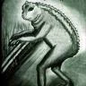 Loveland Frog | Cryptid Wiki | Fandom