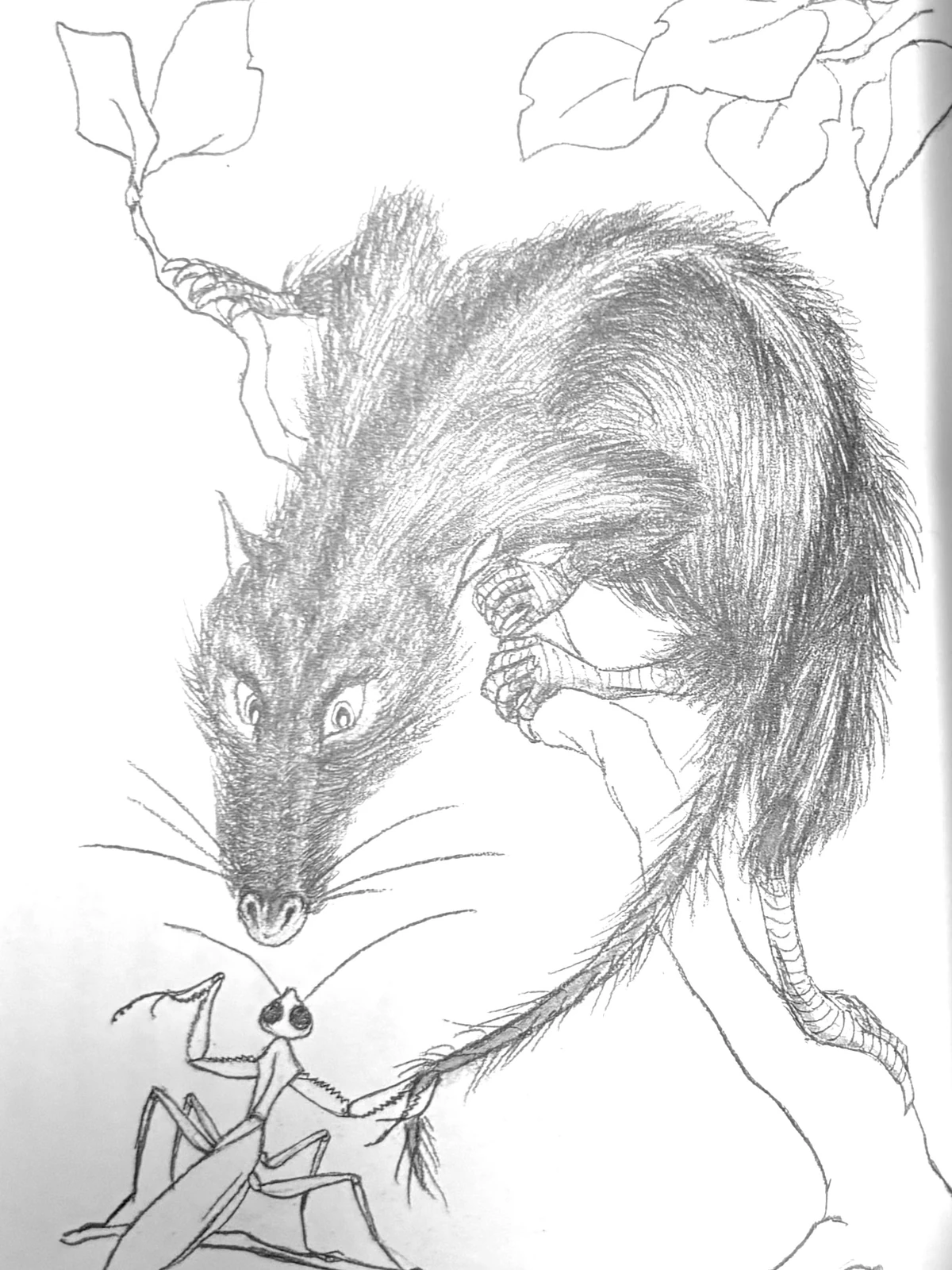 Waitoreke | Encyclopaedia of Cryptozoology | Fandom