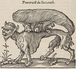 Succarath | Encyclopaedia of Cryptozoology | Fandom