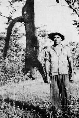 Australian Big Cats | Encyclopaedia of Cryptozoology | Fandom