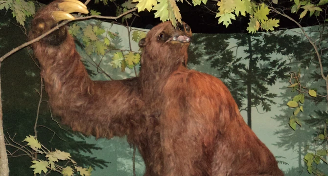 Encyclopaedia of Cryptozoology | Fandom