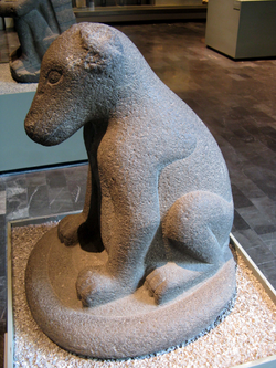 Ahuízotl | Encyclopaedia of Cryptozoology | Fandom