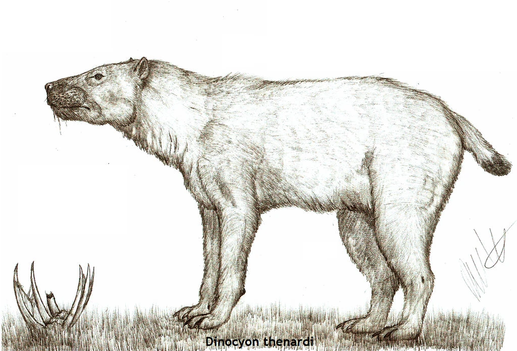 Canid-like predator from China | Encyclopaedia of Cryptozoology | Fandom