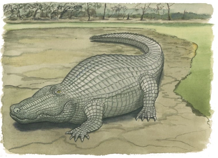 Lipata | Encyclopaedia of Cryptozoology | Fandom