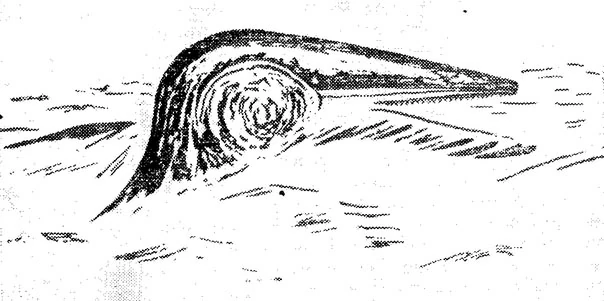 Category:Sea monsters | Encyclopaedia of Cryptozoology | Fandom