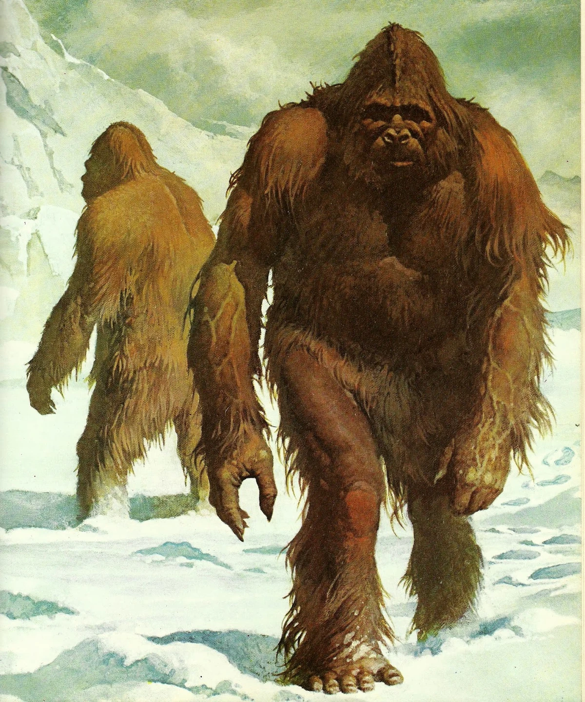 Encyclopaedia of Cryptozoology:Workshop/Yeti | Encyclopaedia of ...