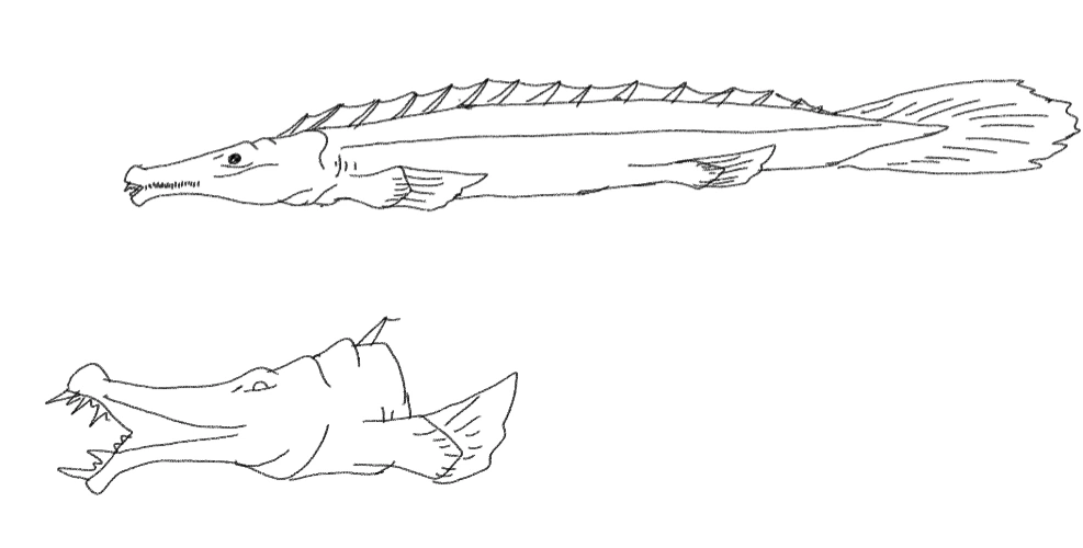 Cleary's fish | Encyclopaedia of Cryptozoology | Fandom