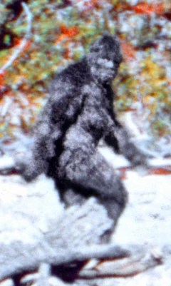 Bigfoot | Encyclopaedia of Cryptozoology | Fandom
