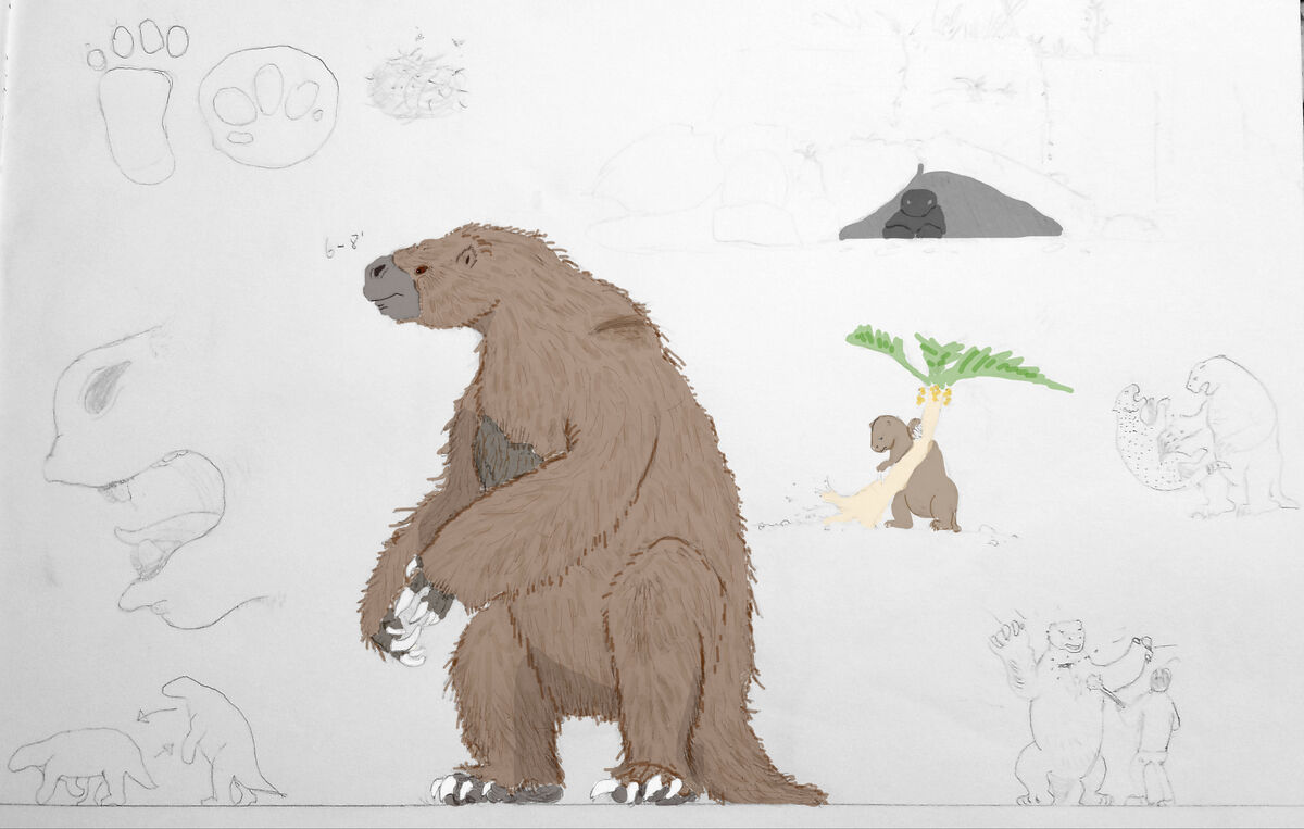 Mapinguari | Encyclopaedia of Cryptozoology | Fandom