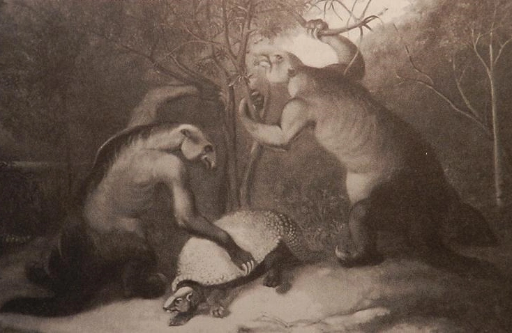 Encyclopaedia of Cryptozoology:Workshop/Carnivorous ground sloth theory ...