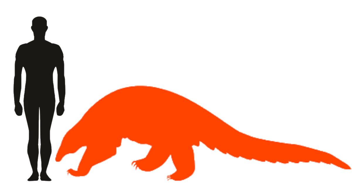 Veo | Encyclopaedia of Cryptozoology | Fandom