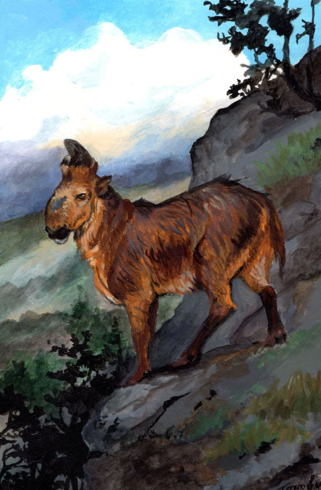 Tibetan unicorn | Encyclopaedia of Cryptozoology | Fandom