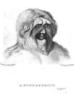 Nondescript | Encyclopaedia of Cryptozoology | Fandom