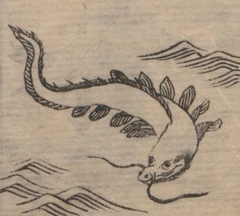 Mukade-kujira | Encyclopaedia of Cryptozoology | Fandom