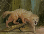 Chipekwe | Encyclopaedia of Cryptozoology | Fandom