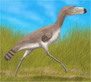 Makalala | Encyclopaedia of Cryptozoology | Fandom