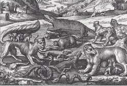 Succarath | Encyclopaedia of Cryptozoology | Fandom