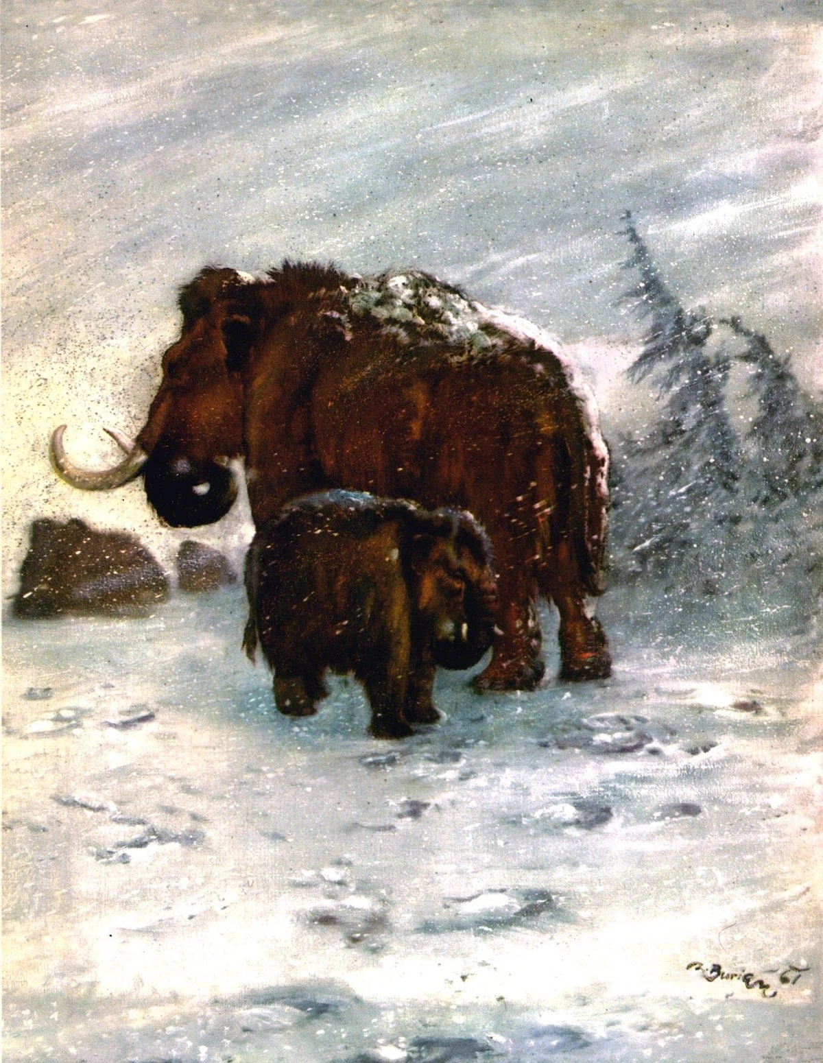 Woolly mammoth | Encyclopaedia of Cryptozoology | Fandom