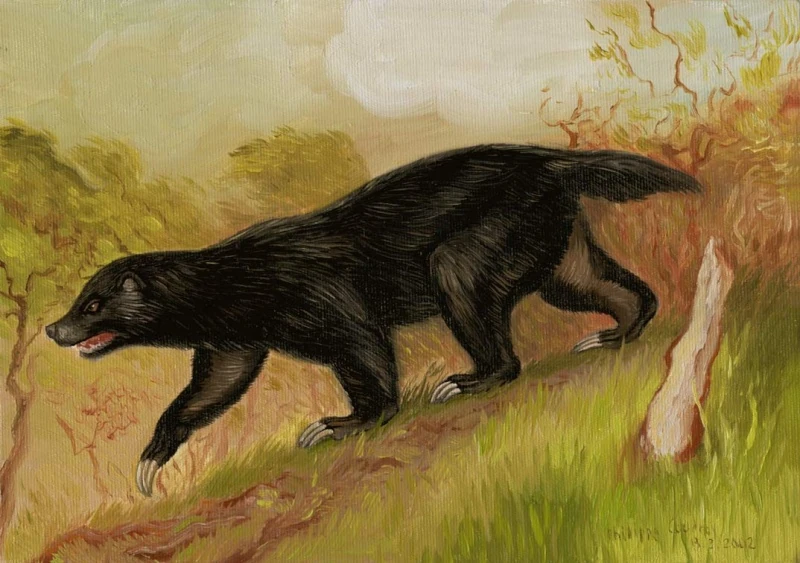 Giant ratel | Encyclopaedia of Cryptozoology | Fandom