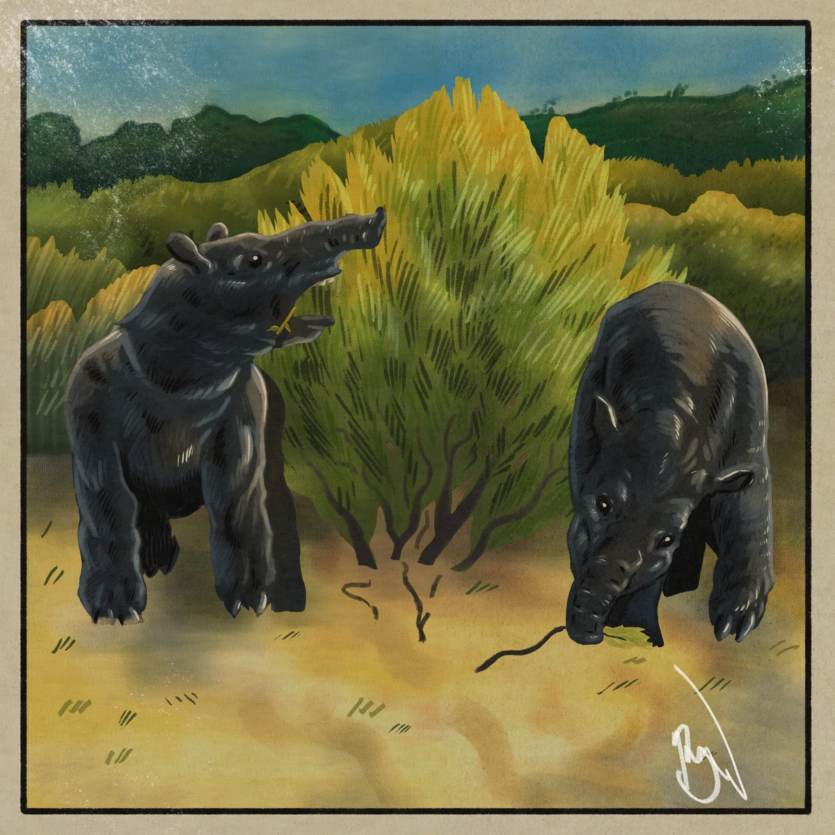 Marsupial tapir | Encyclopaedia of Cryptozoology | Fandom