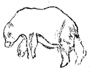 Irkuiem | Encyclopaedia of Cryptozoology | Fandom