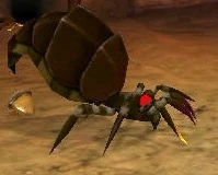 Spider (Ice Age 2: The Meltdown) | The Everything Wikia | Fandom