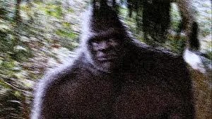 Genoskwa | Cryptid Wiki | Fandom