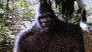 Genoskwa | Cryptid Wiki | Fandom