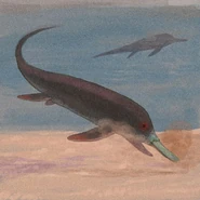 Gambo | Cryptid Wiki | Fandom