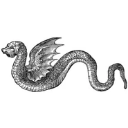 Arabian Flying Snakes | Cryptid Wiki | Fandom