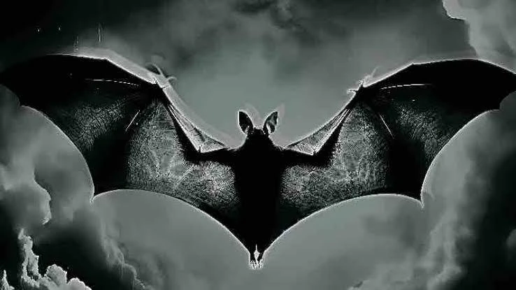 Natsumi Giant Bat | Cryptid Wiki | Fandom
