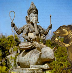 Giant Rat | Cryptid Wiki | Fandom