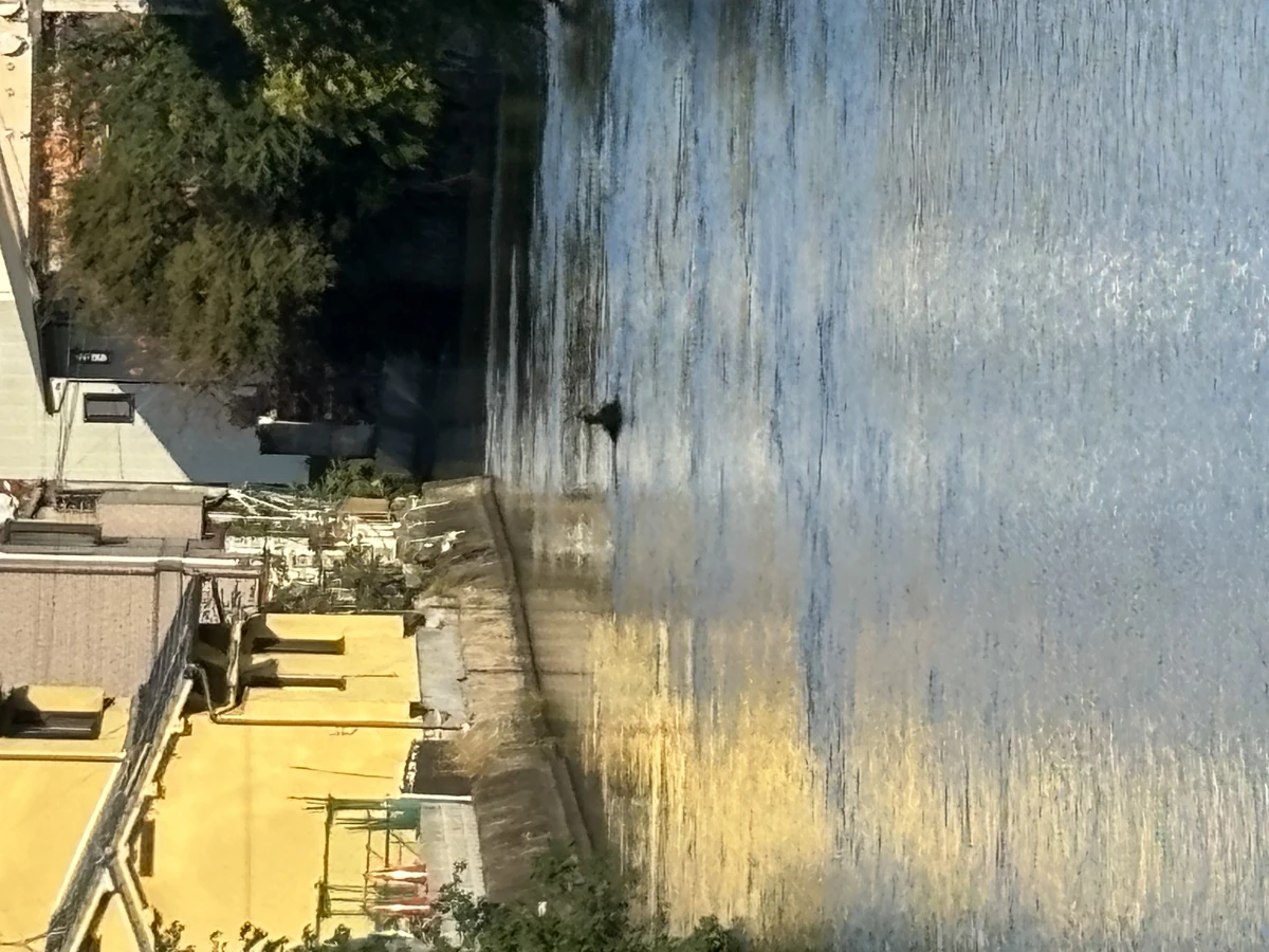 Asahhie | Cryptid Wiki | Fandom